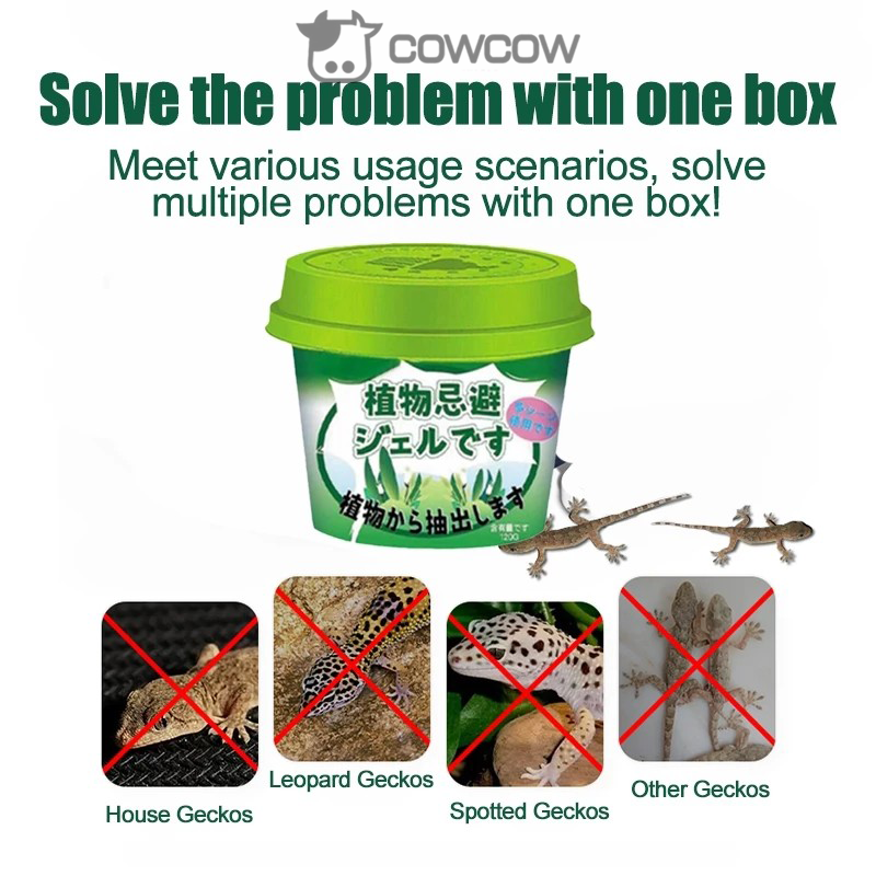 Lizard Repellent Magic Box Plant Formula Upgraded Lizard Trap Lizard ...