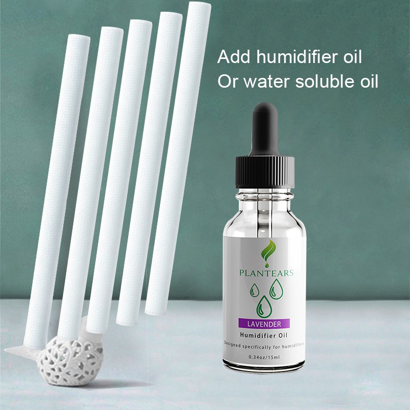 Water-Absorbent Foam Sticks: Versatile Sizes for Humidifiers and ...
