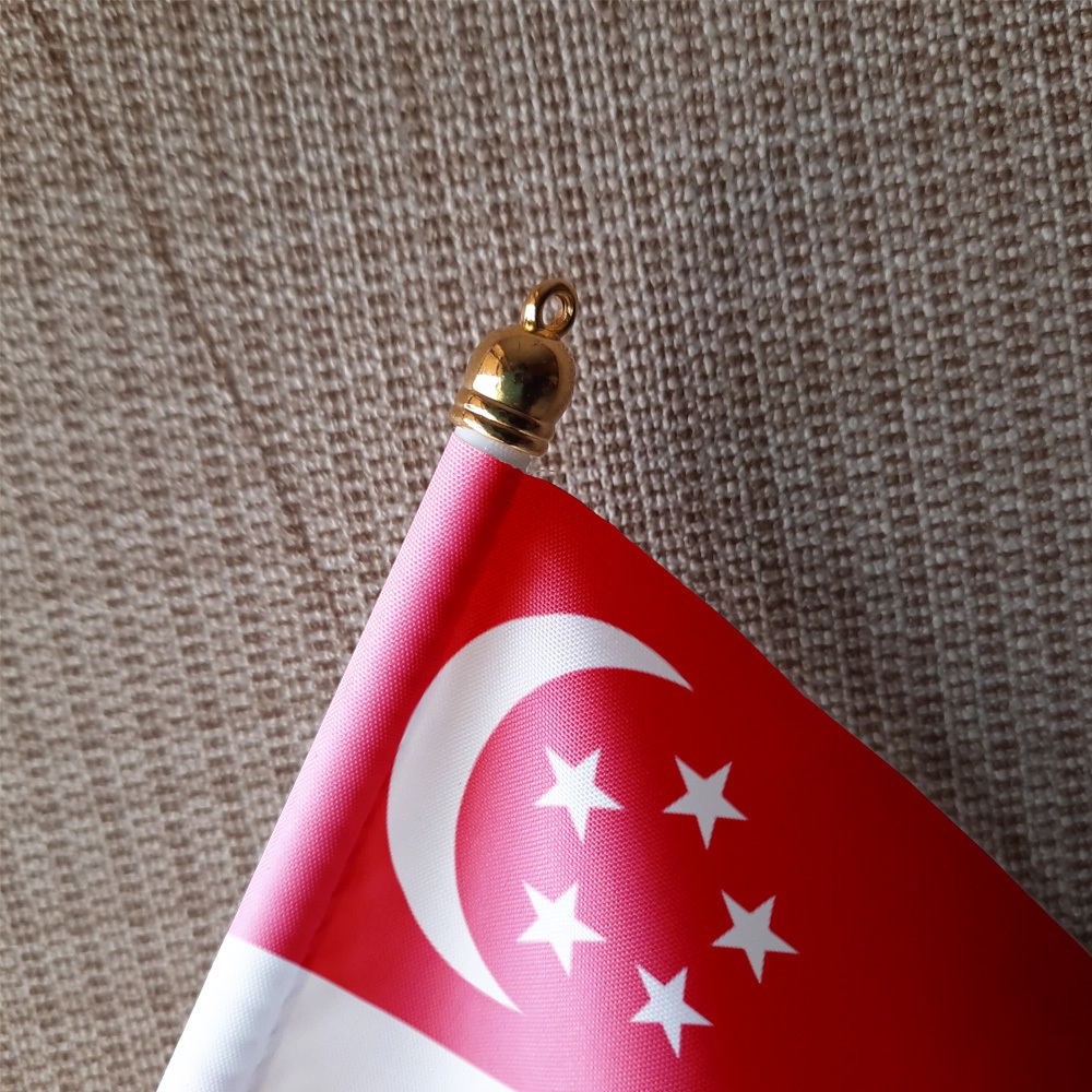 【SG Stock】Singapore flag Waving Hand National flag NDP Plastic Cloth ...
