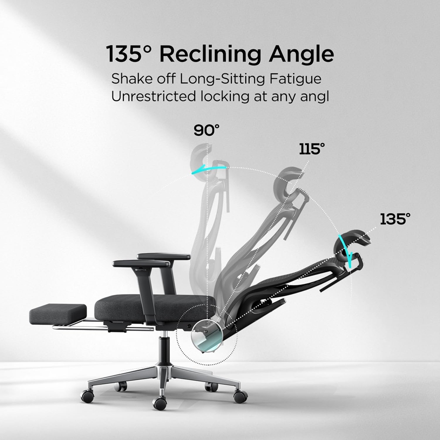 (Ready Stock)HBADA P1 Ergonomic Chair with 3D Adjustable Headrest ...