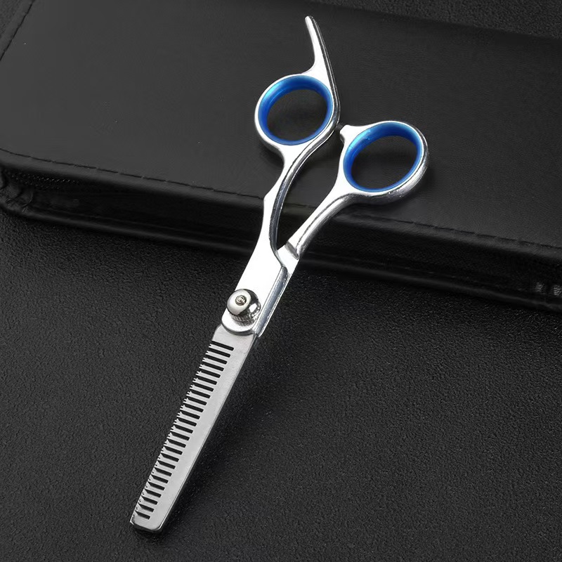 6'' Entry-Level Professional Hair Scissors Thinning Cutting Shears ...