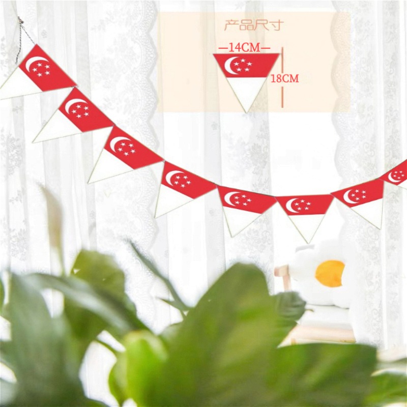 LOCAL SELLER Singapore Triangular Flag 14*18cm NDP National Day Red ...