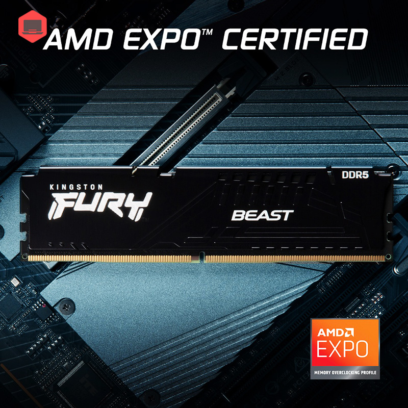 Cybermax Fury Beast Desktop DDR5 RAM 8GB 16GB 4800MT/S 5600MT/S Gaming ...