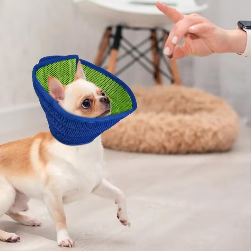 PetSafe Protective Neck Cone for Cats and Dogs - Breathable Mesh ...