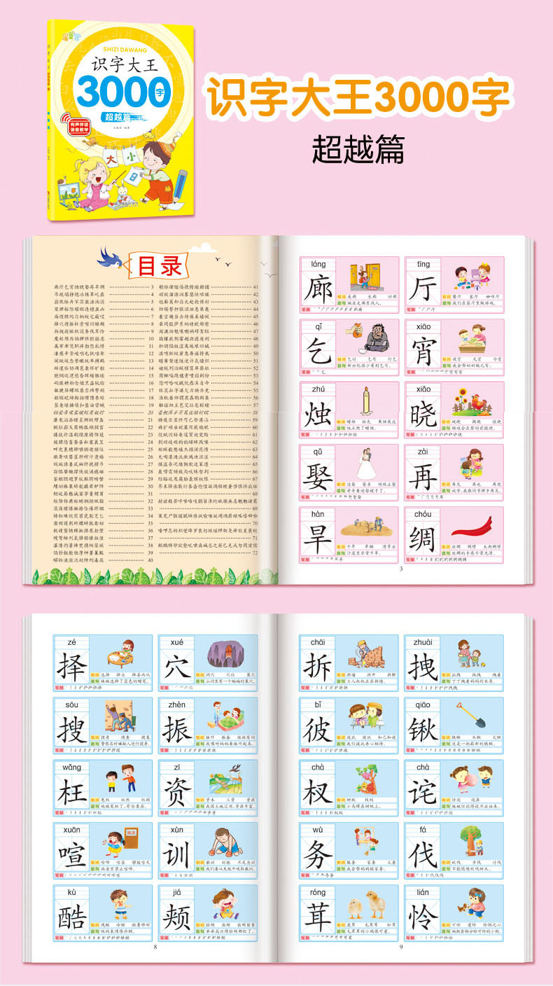 3000 Words Chinese Characters Literacy Book with Picture QR Mandarin ...
