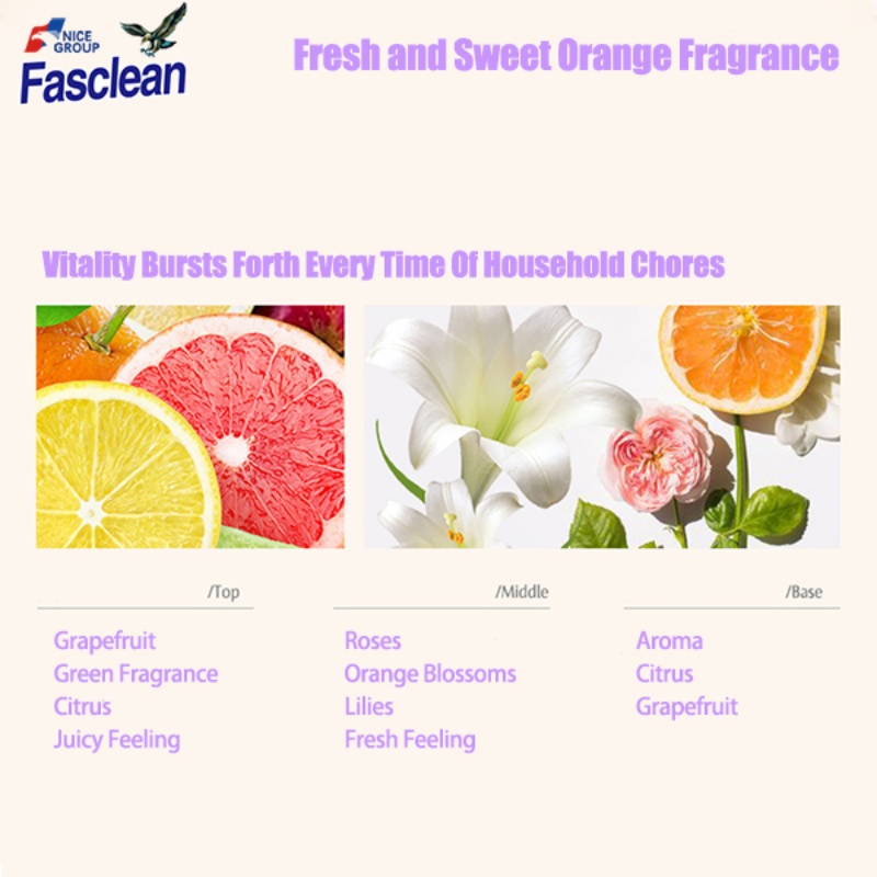 FASCLEAN Floor Cleaner 1000g 2Bottles Household Multi-effect ...
