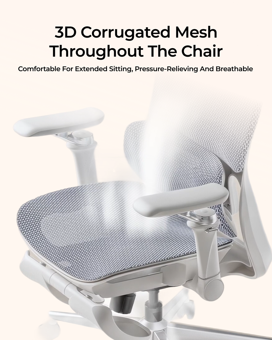 (Ready Stock) Hbada P2 Ergonomic Office Chair Mesh Gaming Chair ...