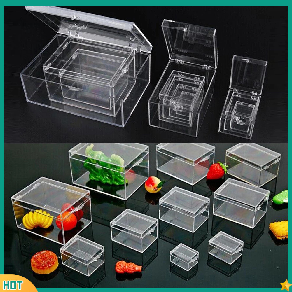 (DAISYG) Clear Plastic Box Rectangular Insect Specimen Display Desktop ...