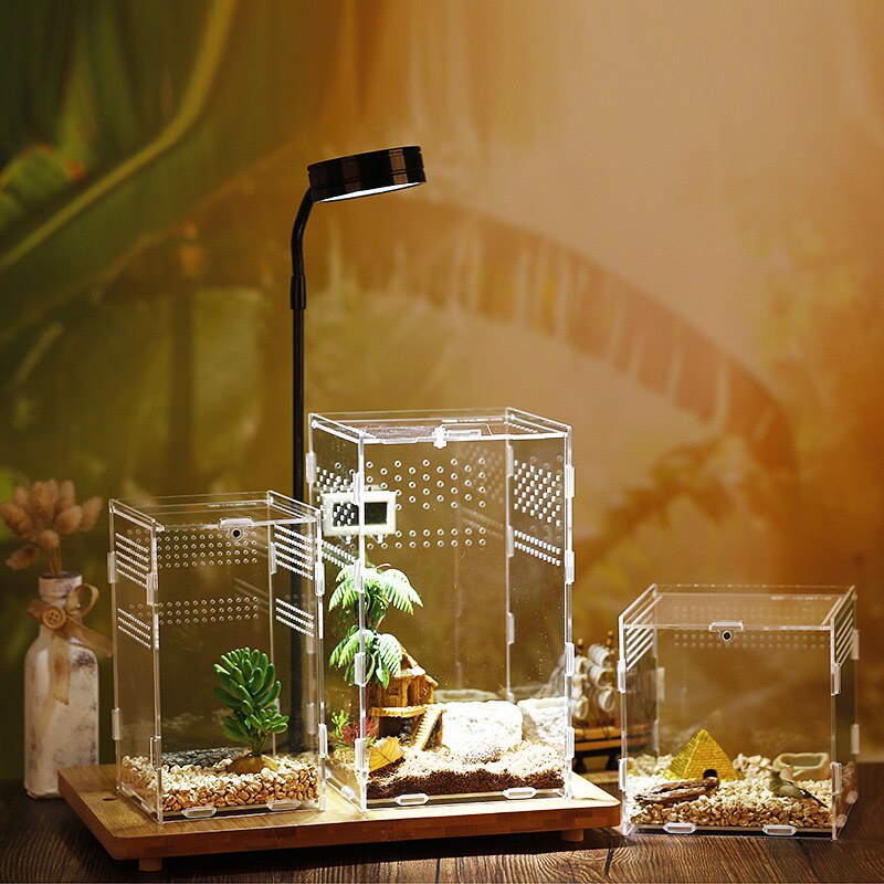 HOT Reptile Breeding Box Terrarium Cage Tank for Tarantula Scorpion ...