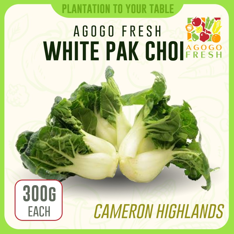 [Agogo Fresh - Vegetables] Cameron Highlands White Pak Choi (Nai Bai ...