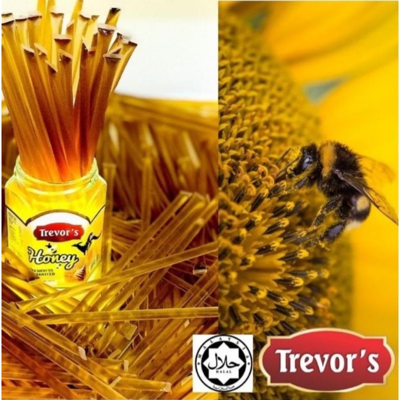 Trevor‘s Honey Stick/Dates Sticks (1pcs) Madu 蜜糖 | Shopee Singapore