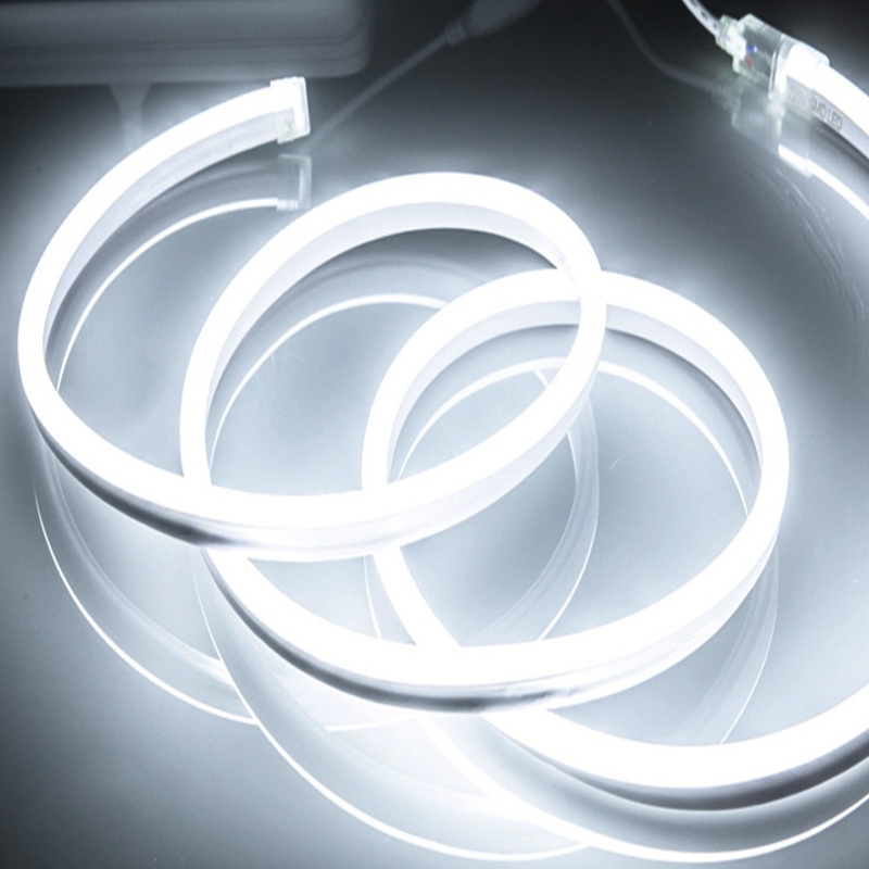 Welpur LED Neon Strip Lights Waterproof 220V 8mm Comes With A Plug For ...