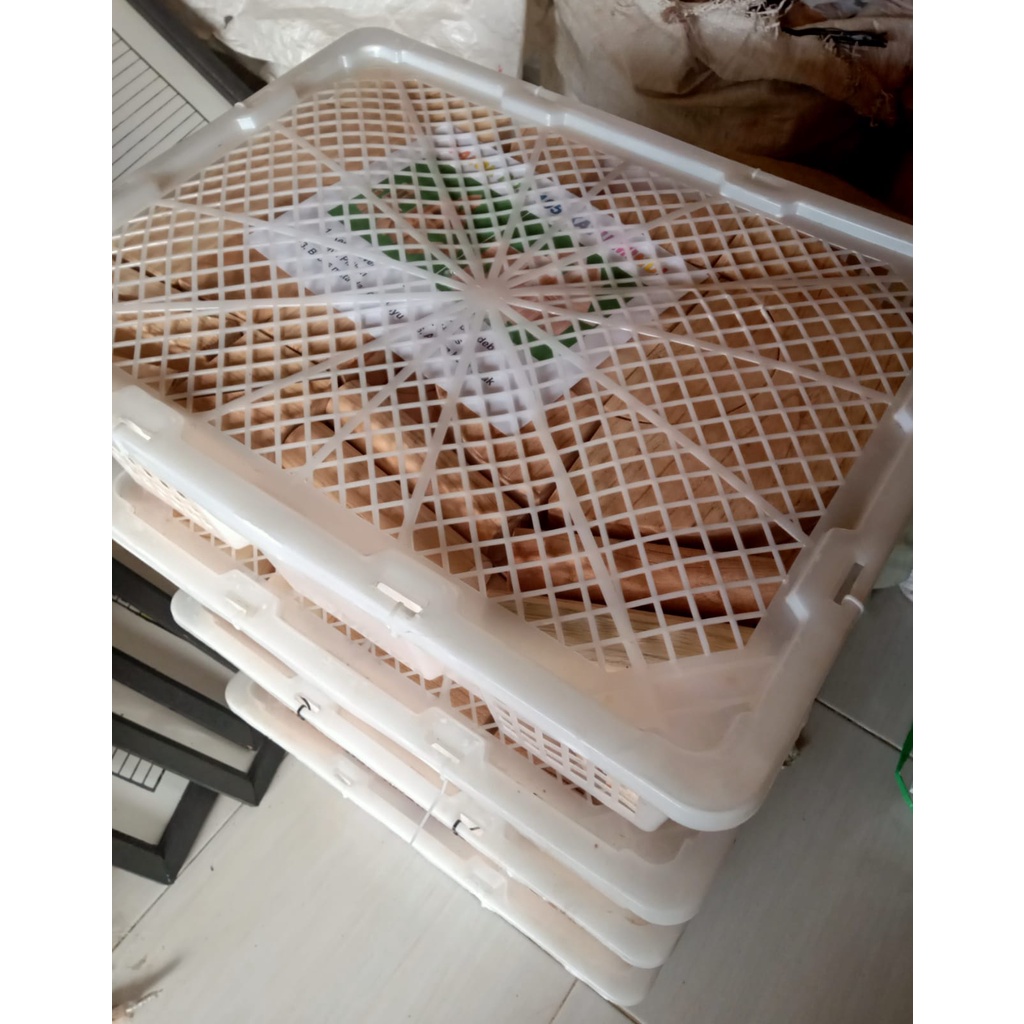 KAYU Mindi Wood Natural PDK Blocks 100pcs | Shopee Singapore