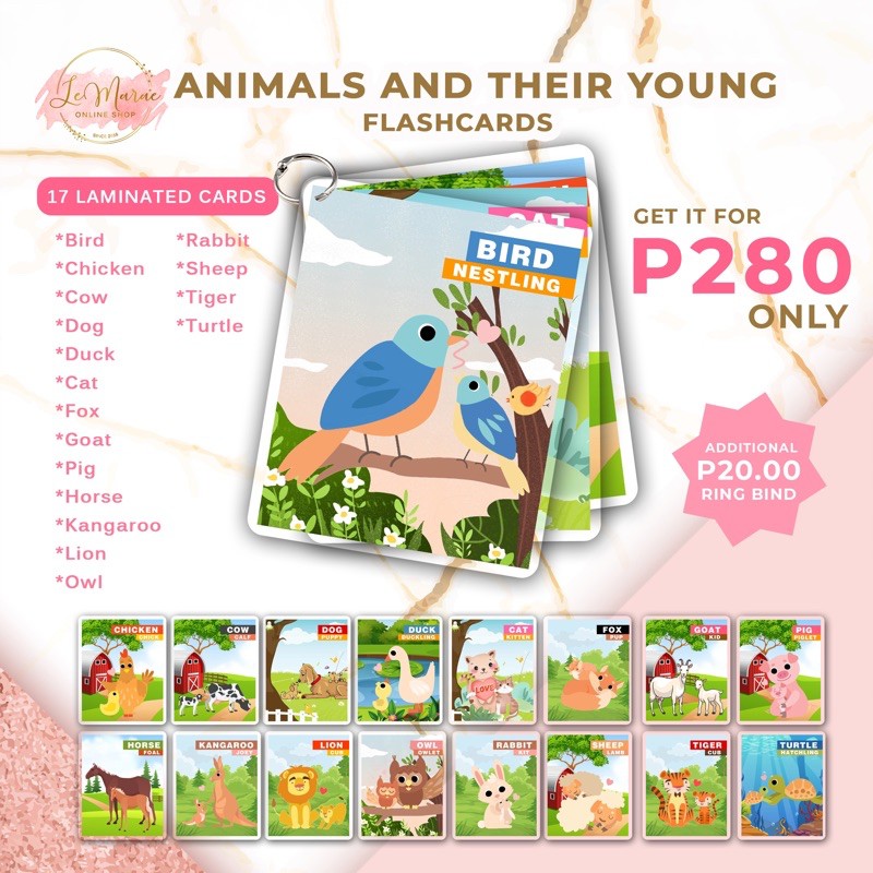 ANIMALS AND THEIR YOUNG Laminated Educational Flashcards Toddlers ...