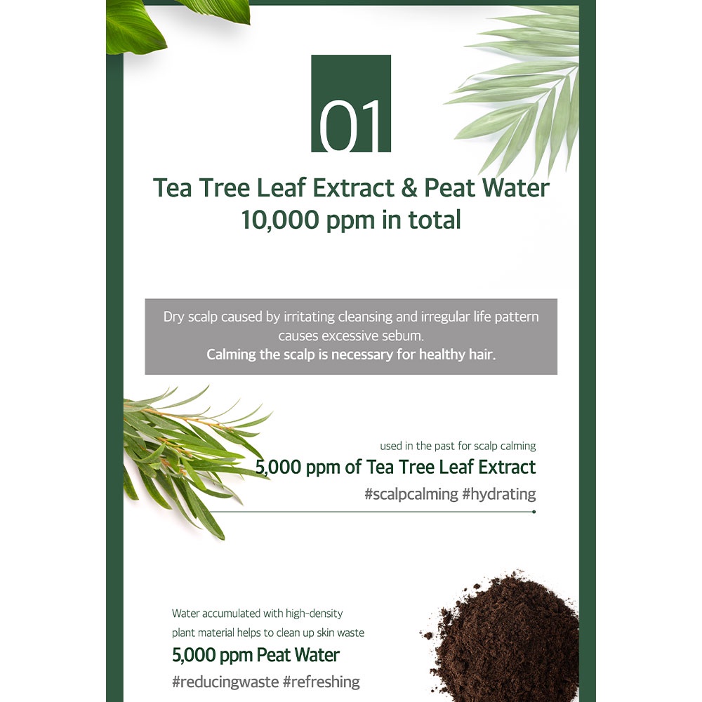 [KUNDAL] Tea Tree & Macadamia Deep Cleansing Shampoo 500ml | Shopee ...