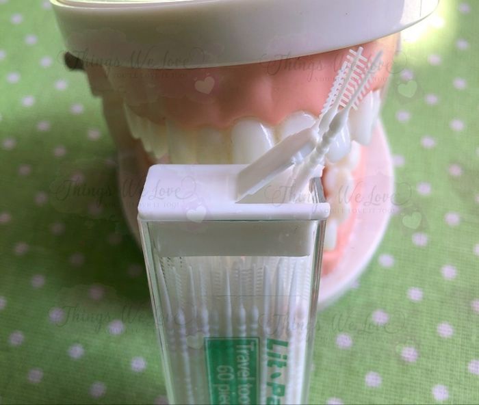 [SG] [FREE🚚] Interdental Fish Bone Toothpicks In Box Fishbone Toothpick ...