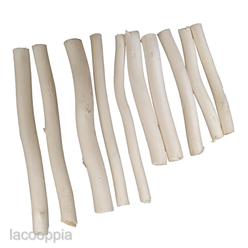 20 Pieces Wood Sticks Natural Tree Branch Wooden Sticks DIY Craft Photo ...
