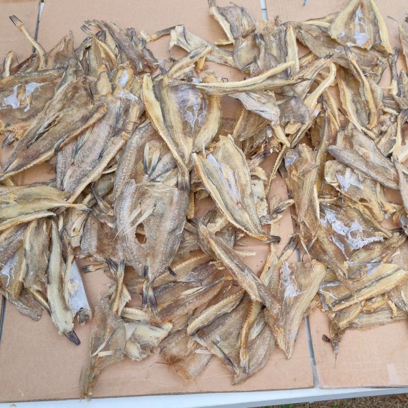 Dry LUMI FISH (75G) | Shopee Singapore