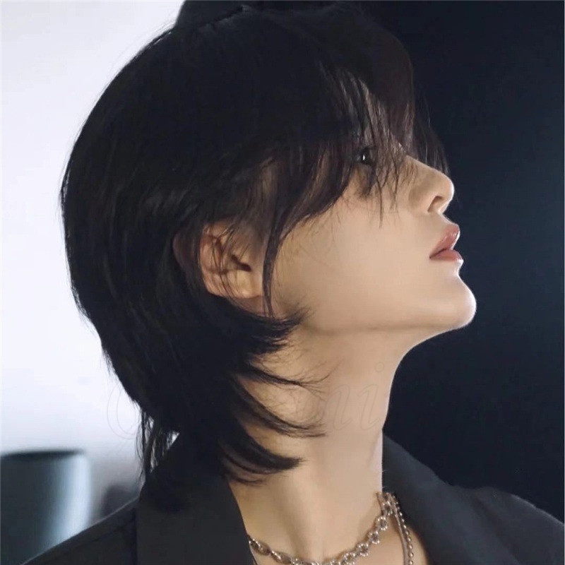 Handsome cos juvenile wolftail Wolf Tail Hair Wig Retro Wig male Center ...