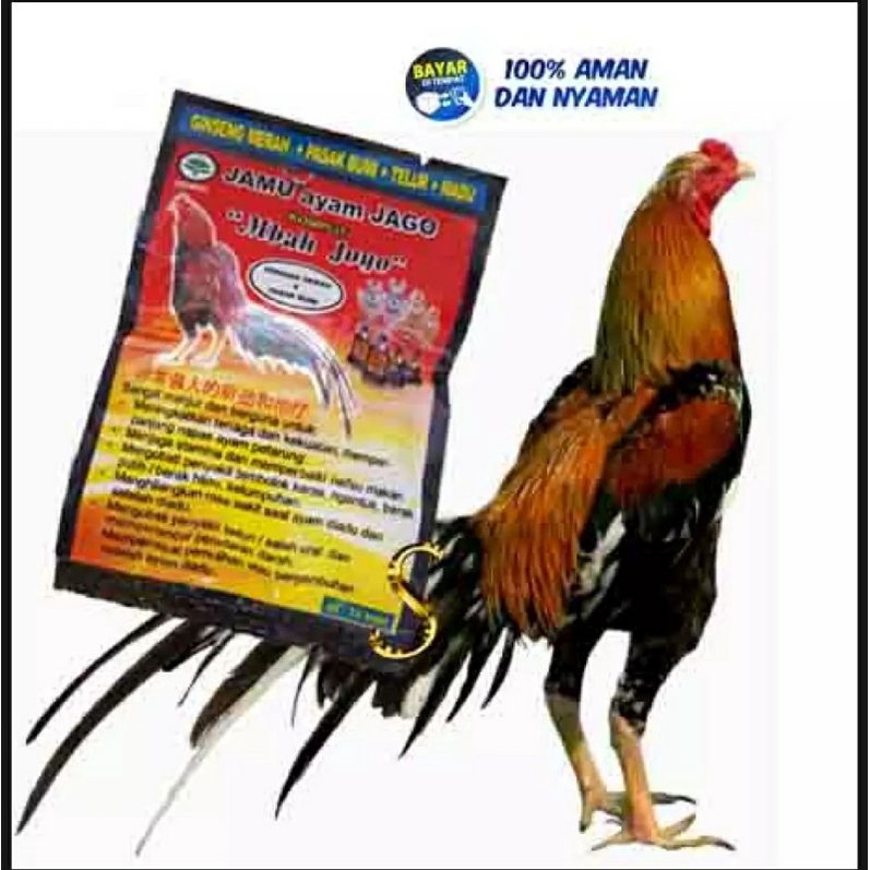 Complete joyo Rooster Herbal Medicine - Chicken Vitamins - Medicine (1 ...