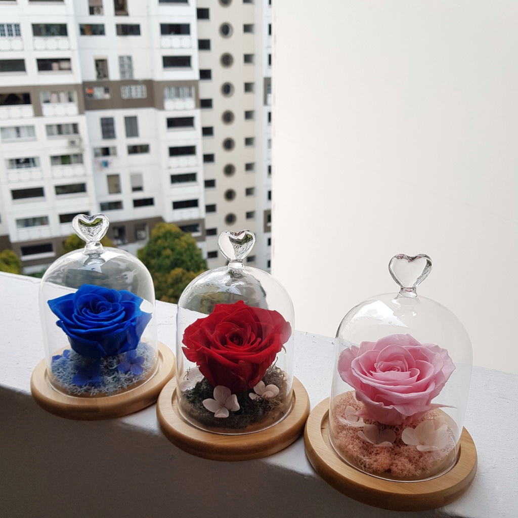 Preserved Rose Mini Bell Jars - Blue/Red/Pink | Shopee Singapore