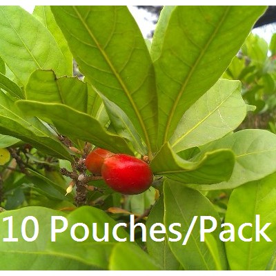 Miracle Berry x 10 pouches/pack frozen dehydrated organic produce ...