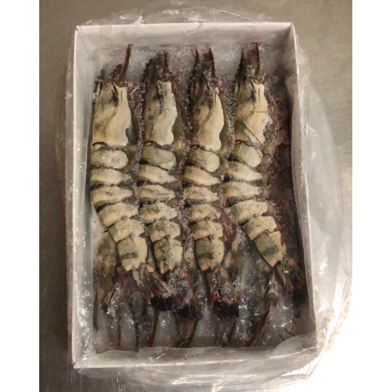 Extra Jumbo Live frozen sea tiger prawns (1pkt) (size:8/10) | Shopee ...
