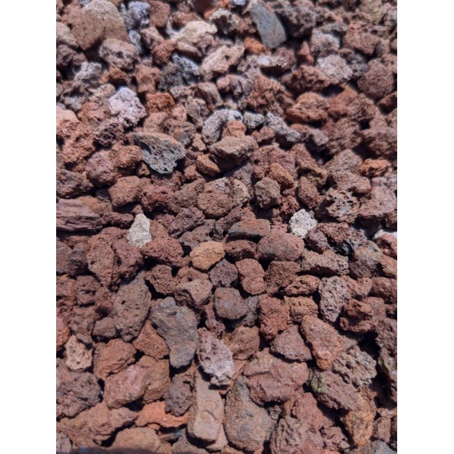 Lava Rocks (Large Pack) - Soil mix ingredient | Shopee Singapore
