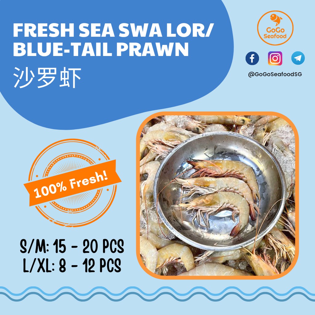 [GoGo Seafood] Fresh Sea Swa Lor/ Blue-Tail Prawn 沙罗虾 | Shopee Singapore