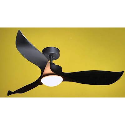 Amasco Ceiling Fan With Light Singapore | Shelly Lighting