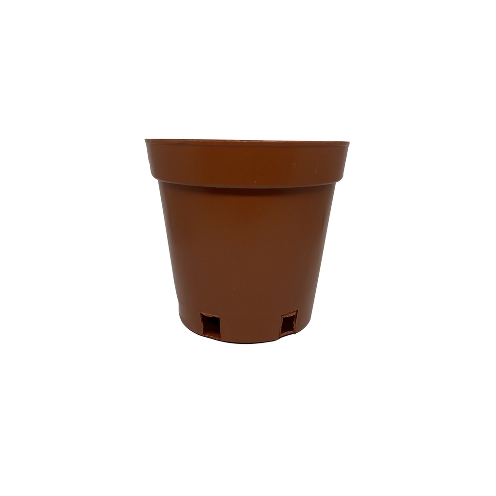 Plastic Plant Pot 12 cm Diameter, 11 cm Height | Shopee Singapore