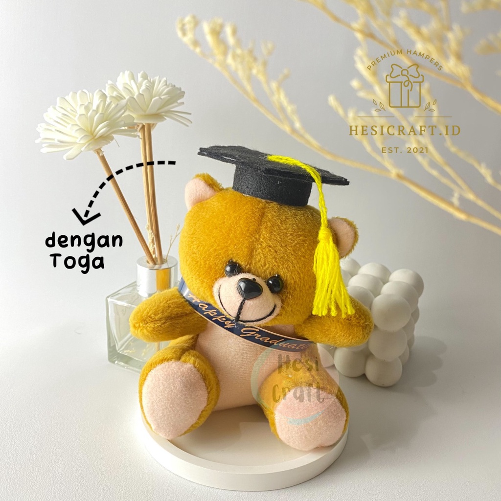 Graduation Doll/ GRADUATION Doll/ Doll Gift/ PLUSH BEAR/TEDDY BEAR ...