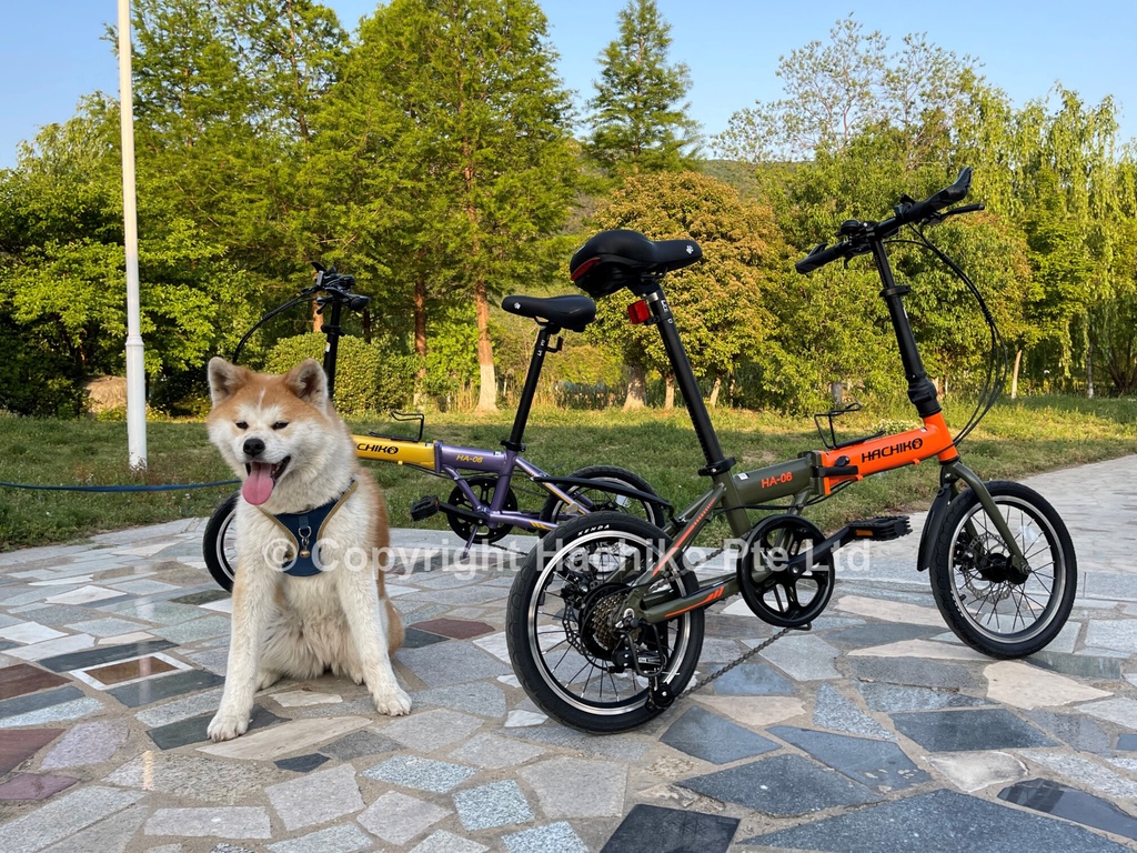 🔥JAPAN BRAND | OFFICIAL HACHIKO DISTRIBUTOR🔥 2025 Launch ⭐New Hachiko ...