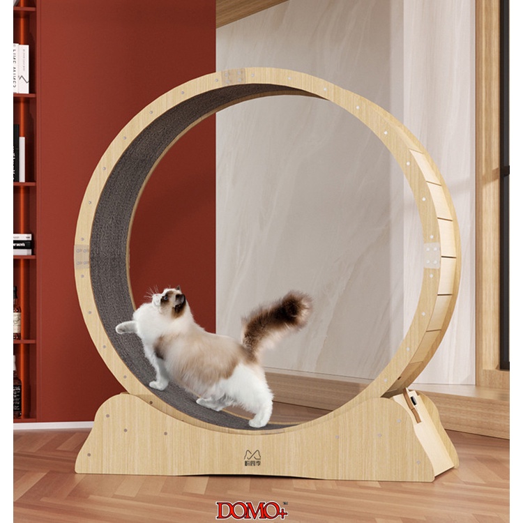 [SG Stock ] 【Assembled】Cat Running Wheel Solid Wood Cat Sport Treadmill ...
