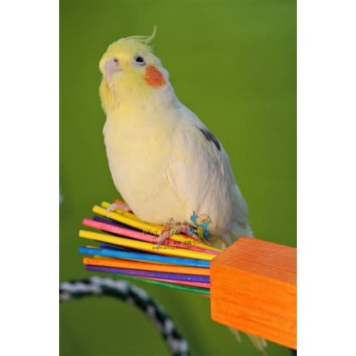 Amigo Amigo/One-Way Lucky Sign/Small Medium Large Three Styles/Colors ...