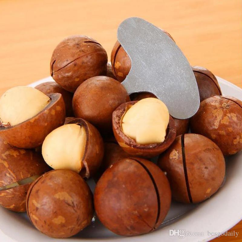 500g | 1000g (BUTTER FLAVOUR) MACADAMIA IN SHELL ROASTED UNSALTED FROM ...