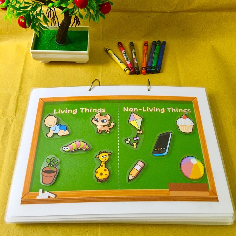 Living and Non Living Things Detachable (Adhesive dots) Fully laminated ...