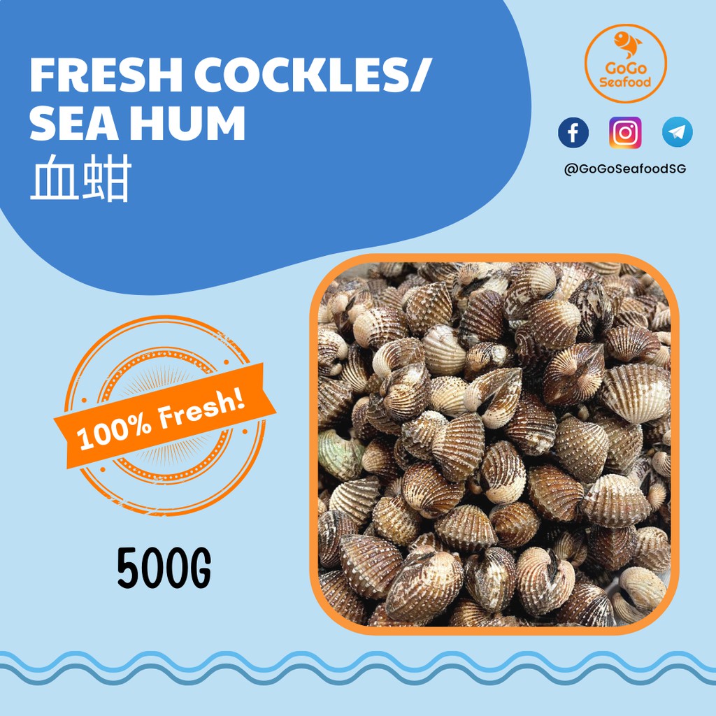 [GoGo Seafood] Fresh Cockles/ Sea Hum Whole 血蚶 | Shopee Singapore