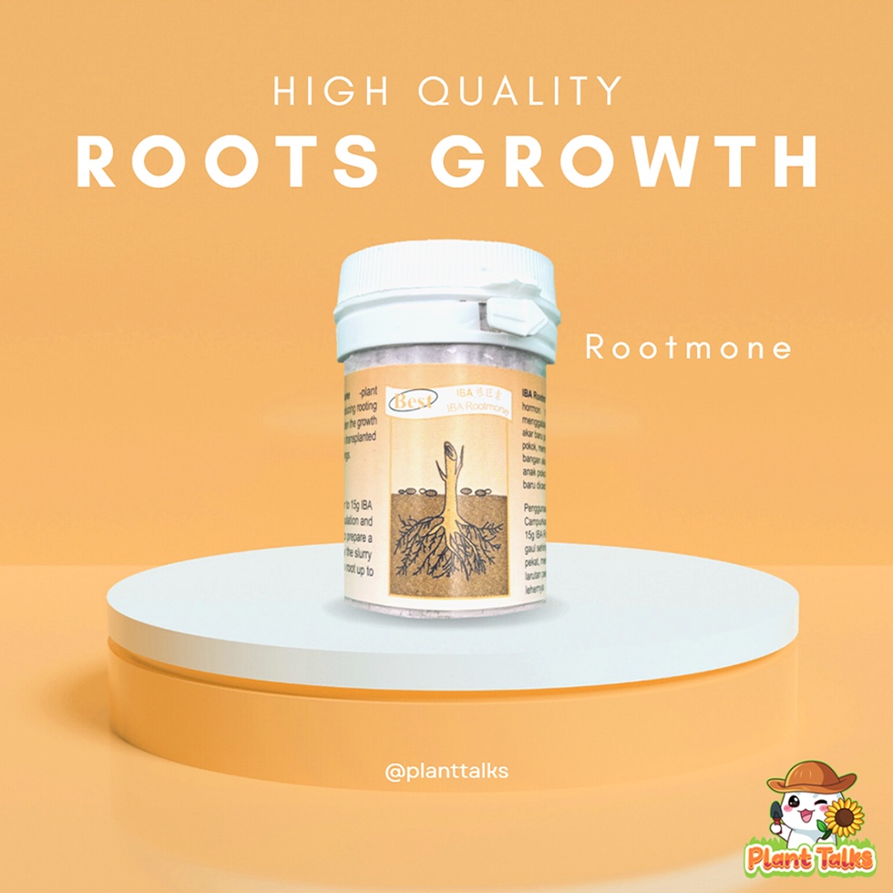 Premium Rooting Powder BEST IBA Rootmone Rooting Plant Hormone Roots ...