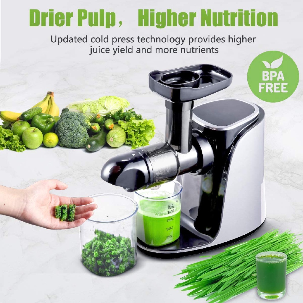AMZCHEF Slow Masticating Juicer Extractor, Cold Press Juicer with Two ...