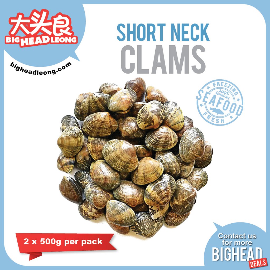 [Big Head Leong] Short Neck Clams/ 1kg | Shopee Singapore