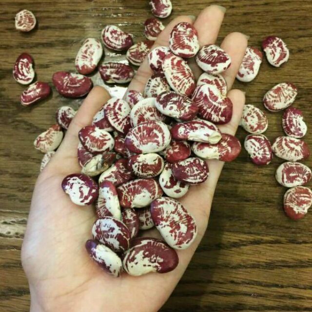 1kg Royal Beans | Shopee Singapore