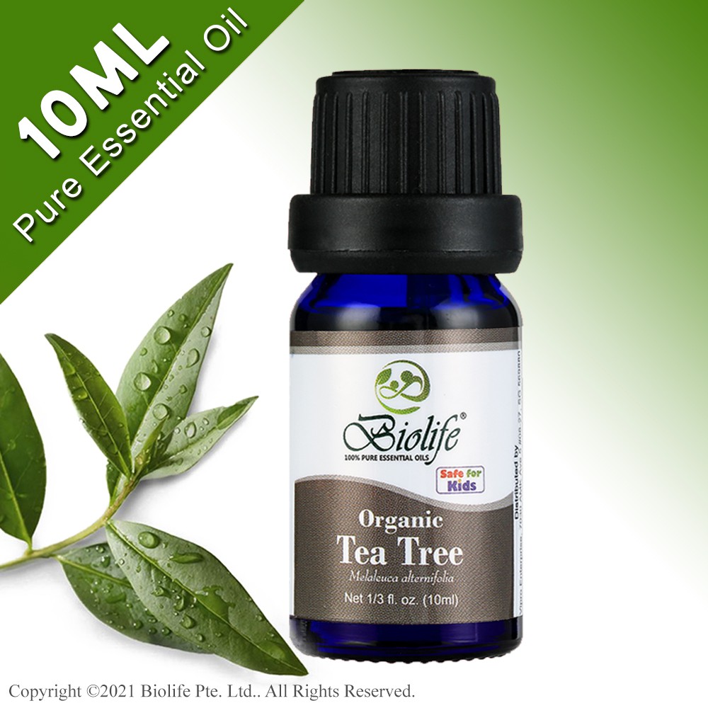 Biolife Organic Tea Tree, 100% Pure and Natural Organic Essential Oil ...