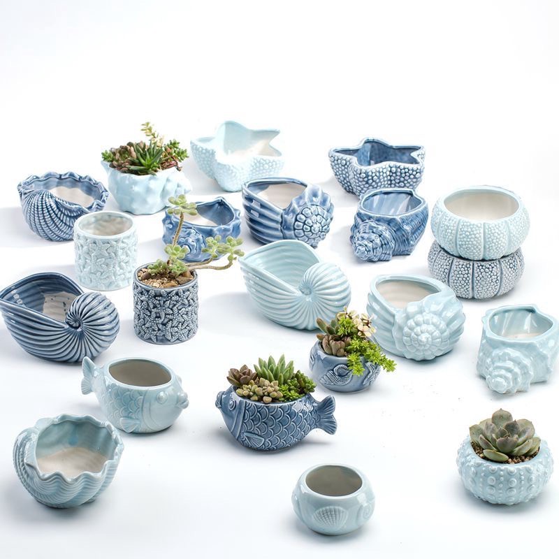 Ceramic pot succulent pot planter | ocean series 陶瓷花盆 海洋系列 | Shopee ...