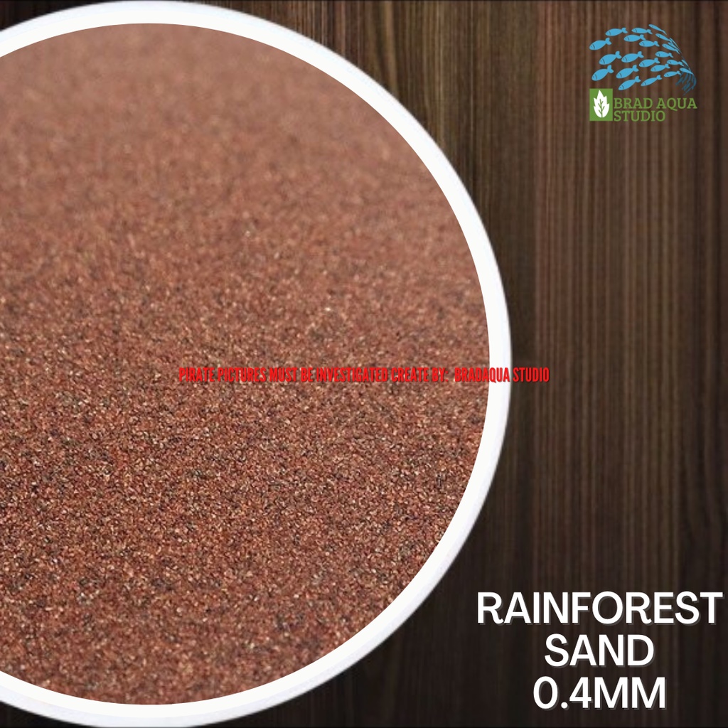 AQUARIUM Cosmetic Natural Sand & Stone 500g Fish Tank Sand Gravel ...