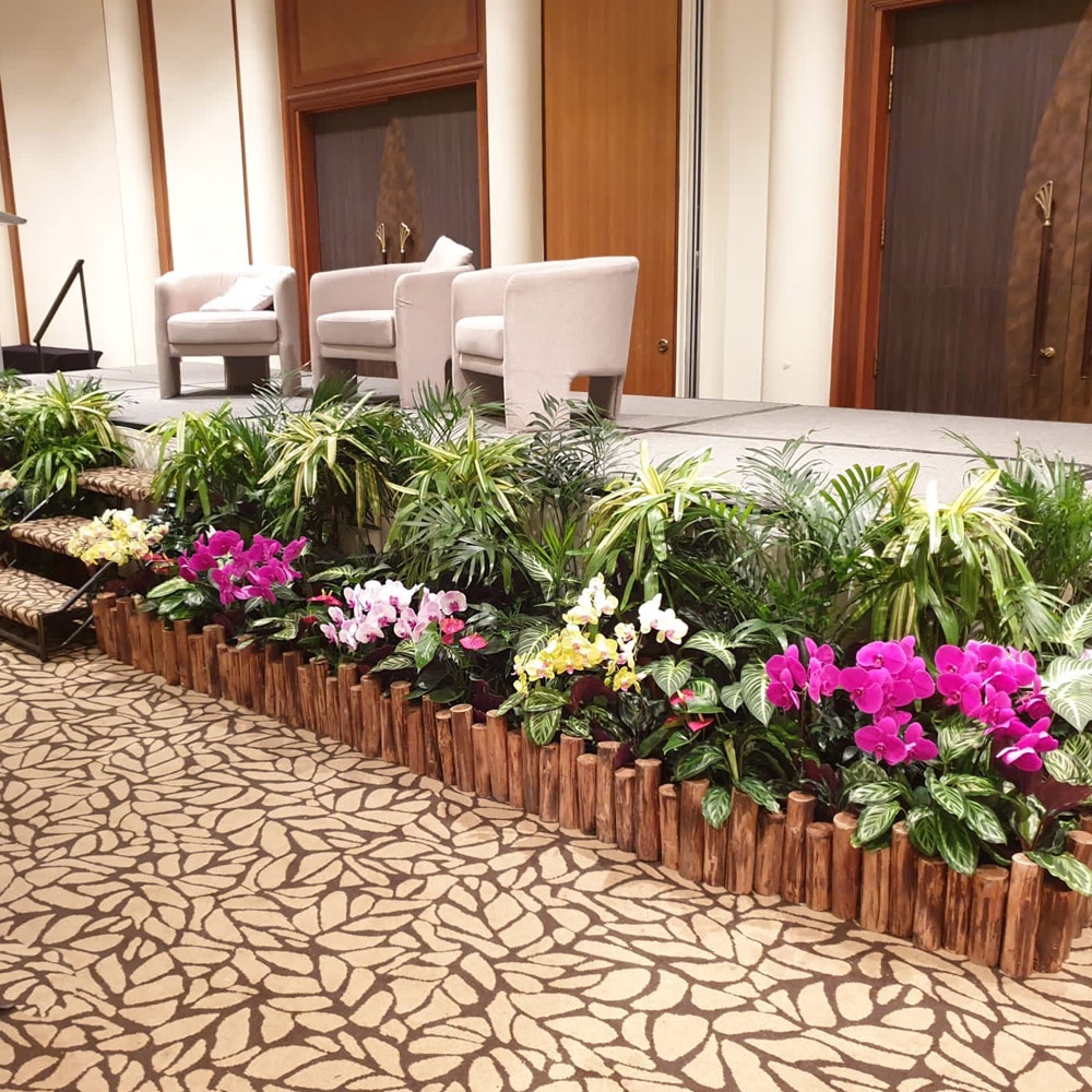 Stage Decoration For Events, Event Plant Rental and Stage Landscaping ...