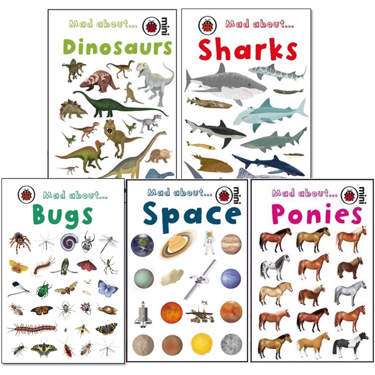 Ladybird - Mini Mad about - Dinosaurs, Space, Sharks, Bugs HARDCOVER ...