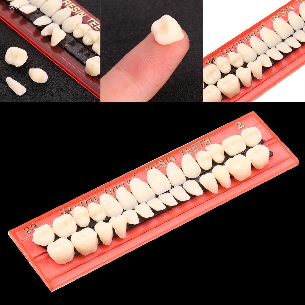 Be Acrylic Resin Denture Teeth Upper Lower Shade Dentures Dental ...