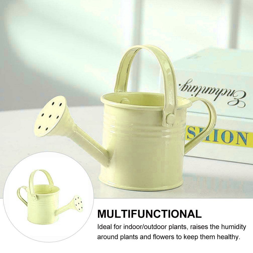 Watering Can Plant Spray Metal Portable With Handle Gardening Tools ...