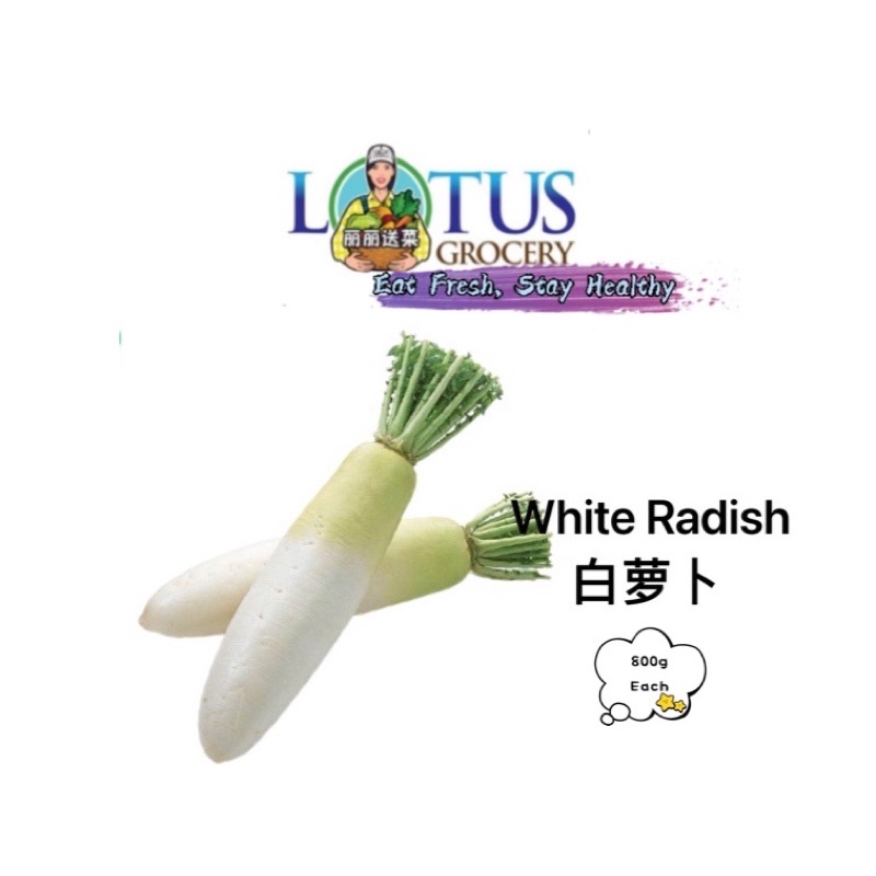 【Lotus Grocery】Cameron Highlands White Radish金马仑白萝卜500g+-/pc | Shopee ...